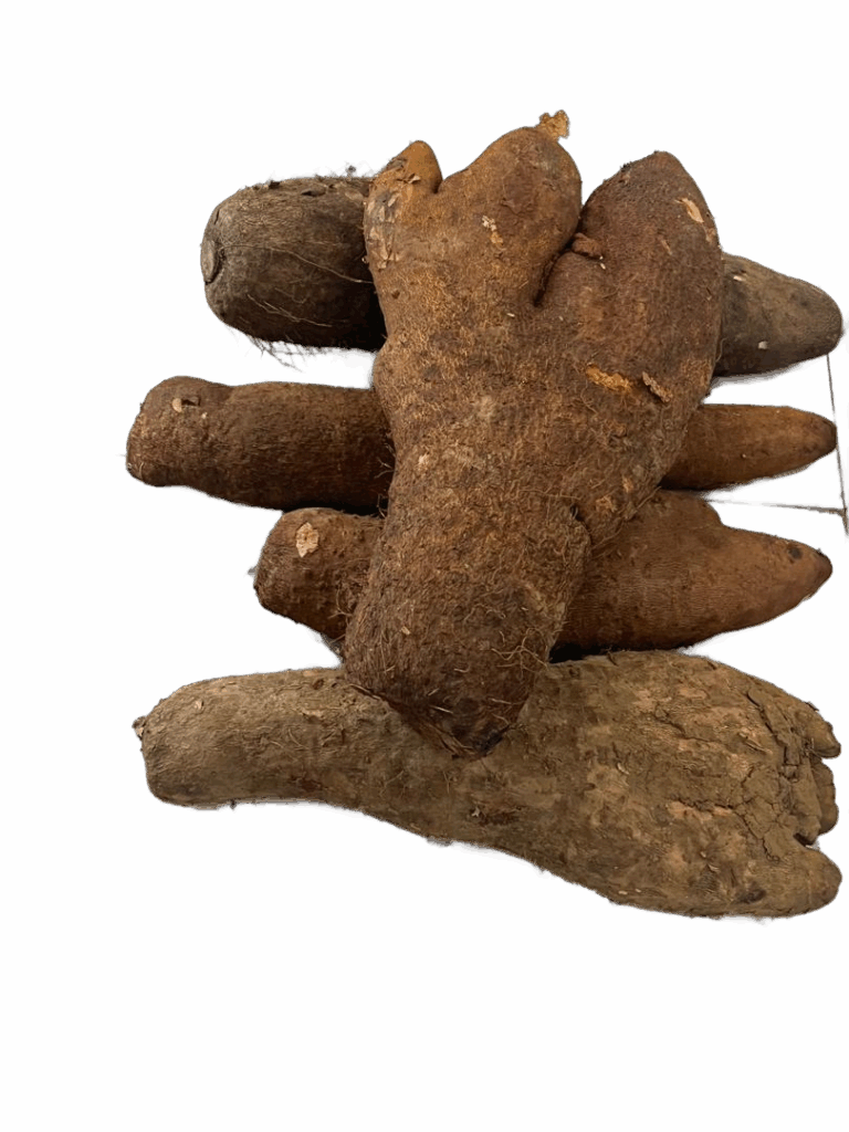 Pally Bundle Yam – Pally Shop